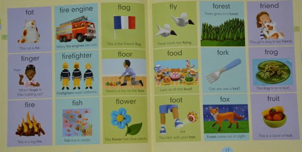 slovník The Usborne Very First English Dictionary