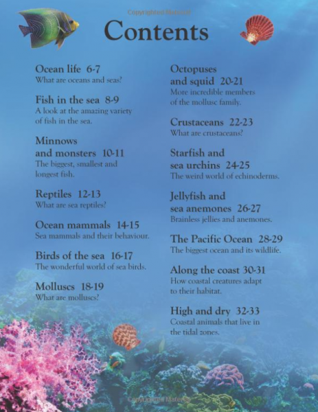 First Animal Encyclopedia Seas and Oceans, anglická kniha