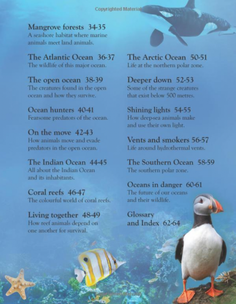 First Animal Encyclopedia Seas and Oceans, anglická kniha