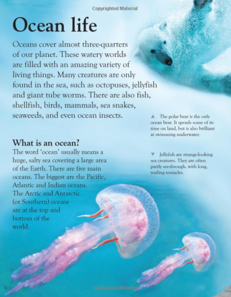 First Animal Encyclopedia Seas and Oceans, anglická kniha
