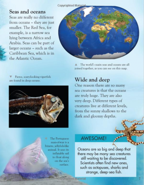 First Animal Encyclopedia Seas and Oceans, anglická kniha