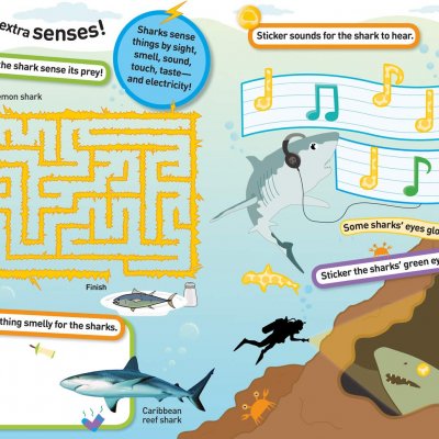 kniha Sharks Sticker Activity Book, nálepkový zošit s aktivitami
