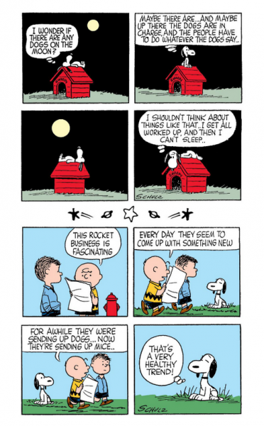 kniha Snoopy: First Beagle in Space, komiks