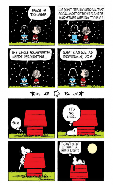 kniha Snoopy: First Beagle in Space, komiks