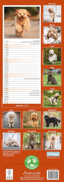 kalendar Cockapoo Slim Calendar 2026